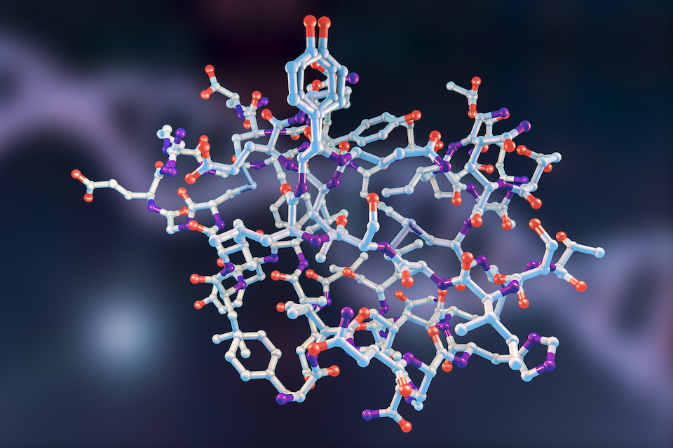 Kallyope and Novo Nordisk Announce Collaboration to Discover Novel ...