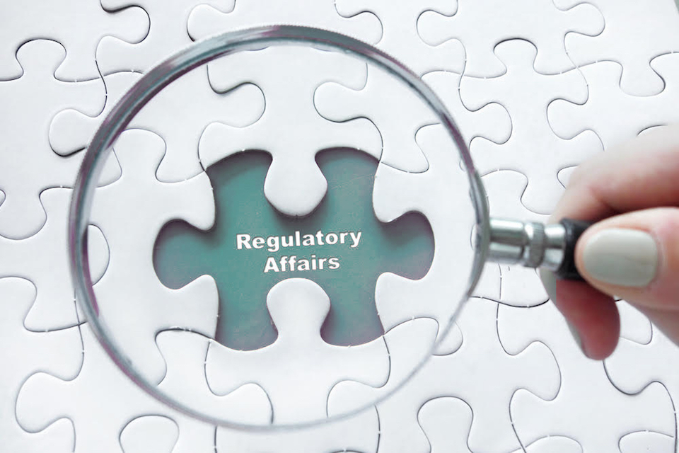 On Intended Use – the Alpha & Ωmega of Defining Regulatory Status ...