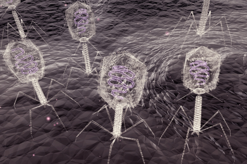 Micreos Raises €30 Million for Endolysin Technology Set to Replace ...