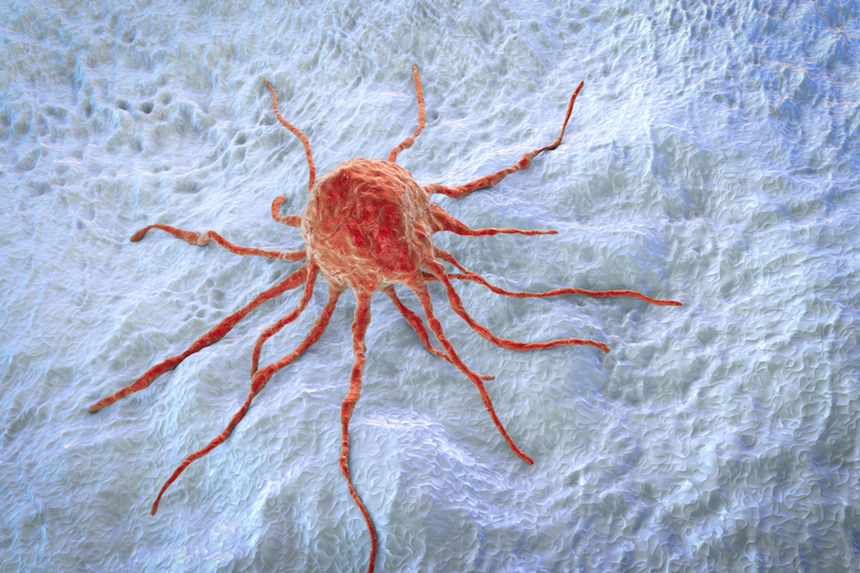 Synlogic Announces New Clinical Collaboration with Roche - Microbiome ...