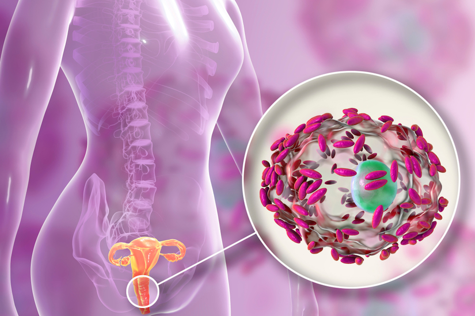 LUCA Biologics Launches to Develop Live Biotherapeutics for Women’s ...