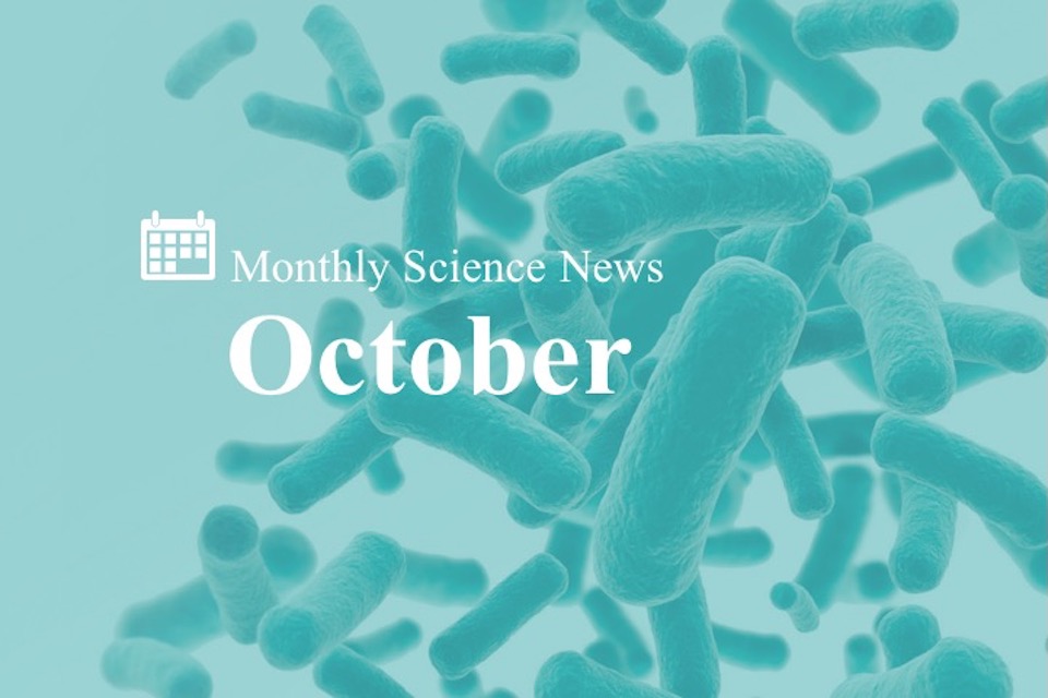 5-minute Microbiome Science Roundup: October 2019 - Microbiome Times ...