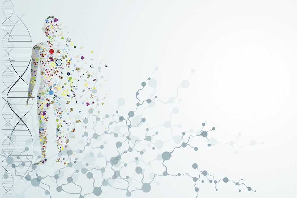 Modelling Biology Using Graph Language - Microbiome Times Magazine