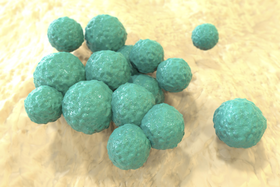 Azitra Awarded U.S. Composition of Matter Patent Covering Engineered ...