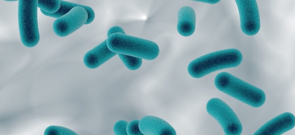 Home - Microbiome Times Magazine