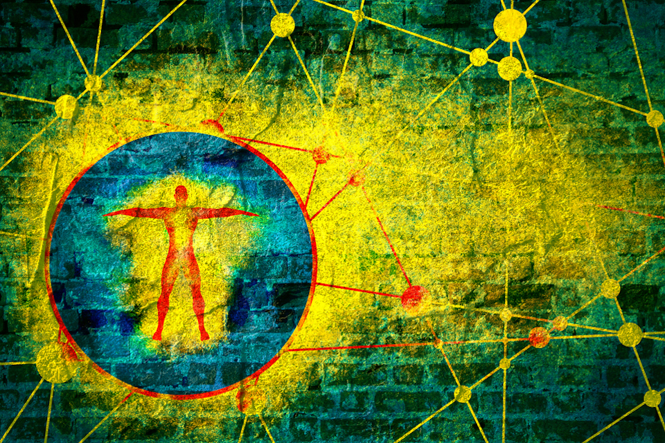 A tale of two cesspits: DNA reveals intestinal health in Medieval ...