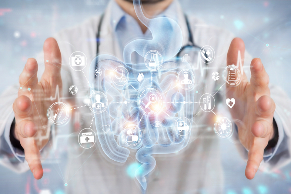 The Importance of Scale in Evaluating the Gut Microbiome - Microbiome ...