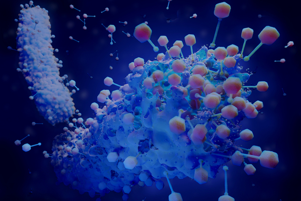 Adaptive Phage Therapeutics Announces FDA Clearance of IND Application ...