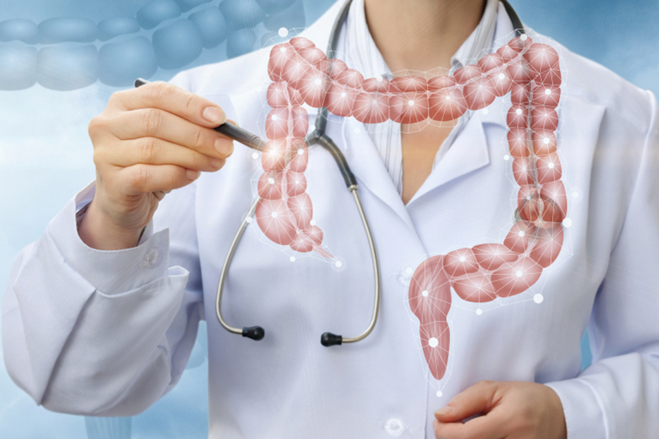 Emulate Launches Colon Intestine-Chip to Advance Research of ...