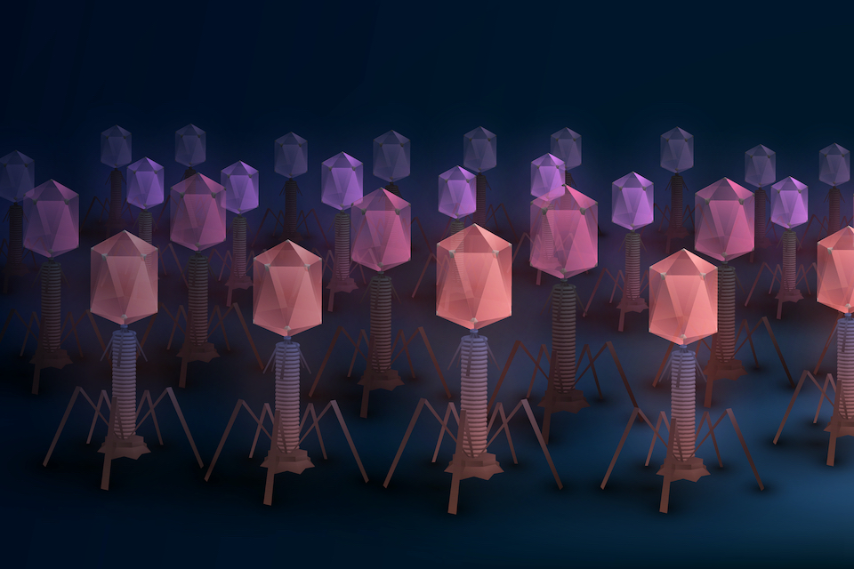 Adaptive Phage Therapeutics Announces $40.75 Million Series B Financing ...