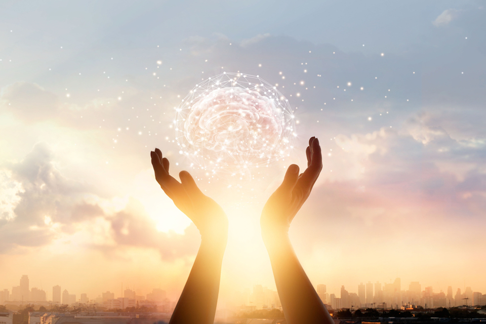 Global microbiome study discovers thousands of new species, maps urban ...