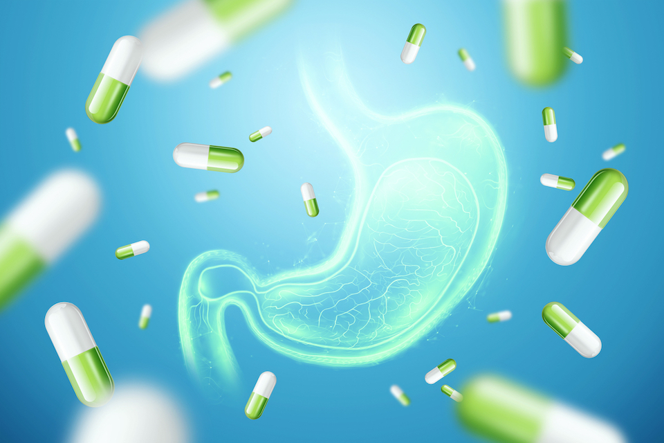 Common medications accumulate in gut bacteria, which may reduce drug ...