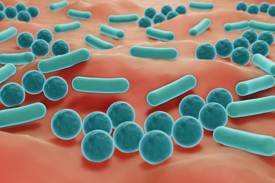 L’Oréal Singapore and NTU Singapore set up joint lab hosted by SCELSE ...