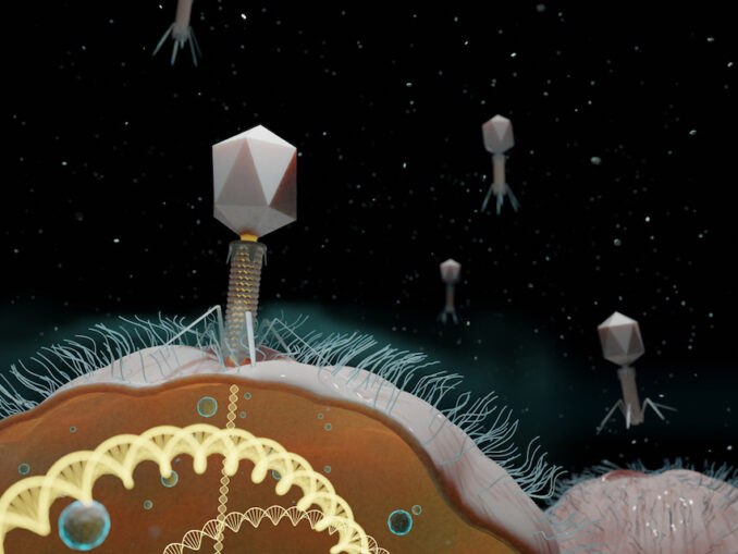 Home - Microbiome Times Magazine