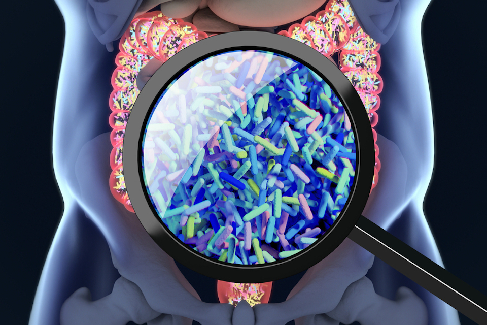 A refined microbiome “fingerprint” method tracks sub-strain variants of ...