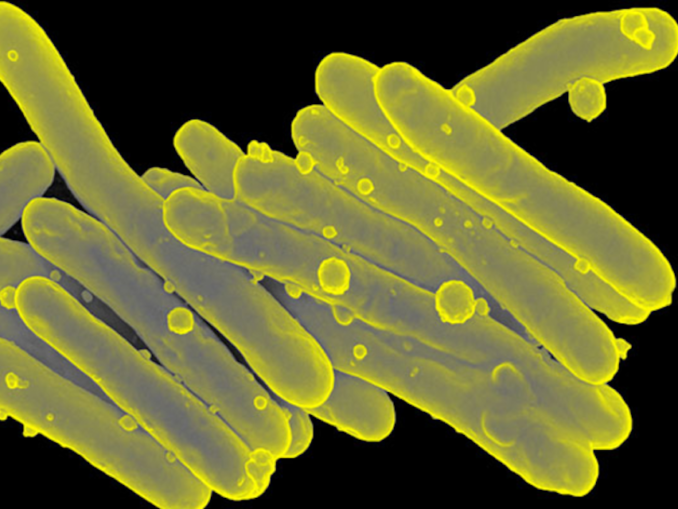 Home - Microbiome Times Magazine