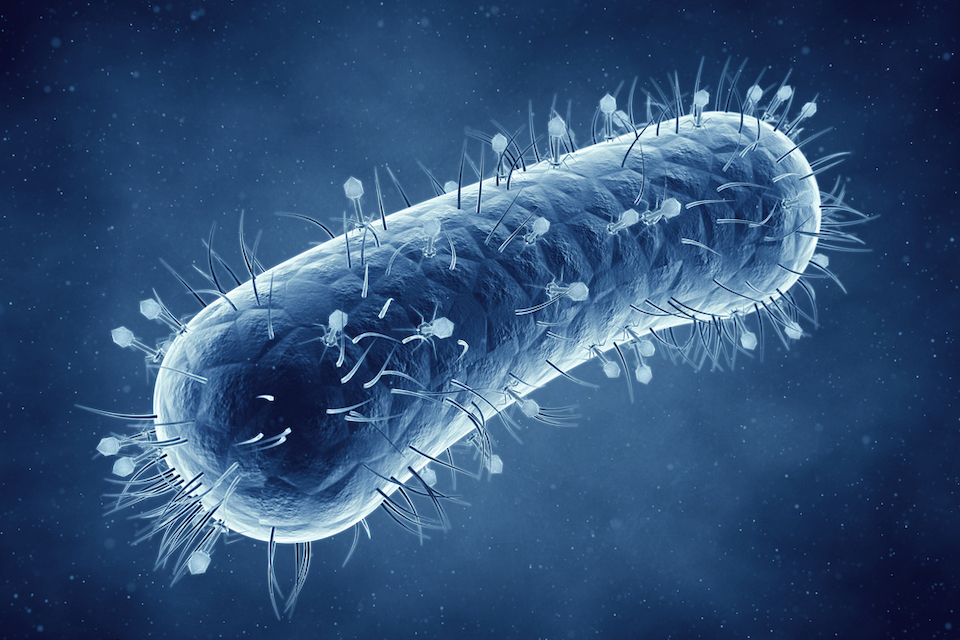 Pherecydes Pharma Obtains AAC Early Access Program Approval From the ...