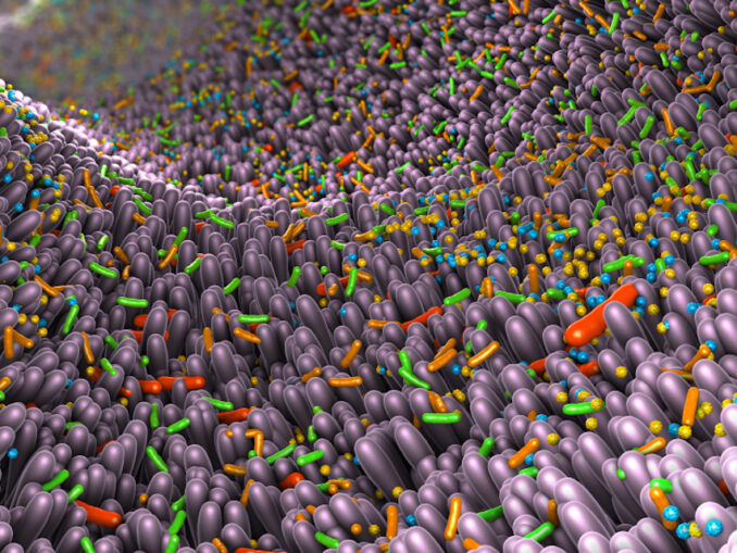 Pharma & Human Health Archives - Microbiome Times Magazine