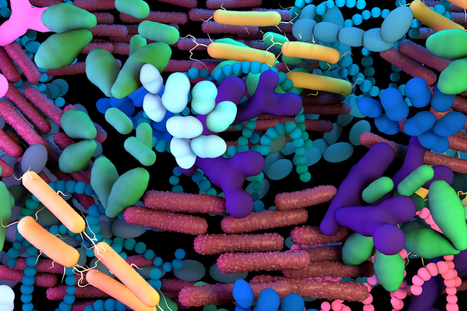 Stanford researchers construct most complex, complete synthetic ...