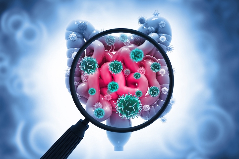 Human body a breeding ground for antimicrobial resistance genes ...