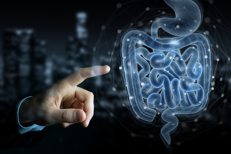 Metagen Therapeutics Raises Over 8M $ in Initial Closing of Series A ...