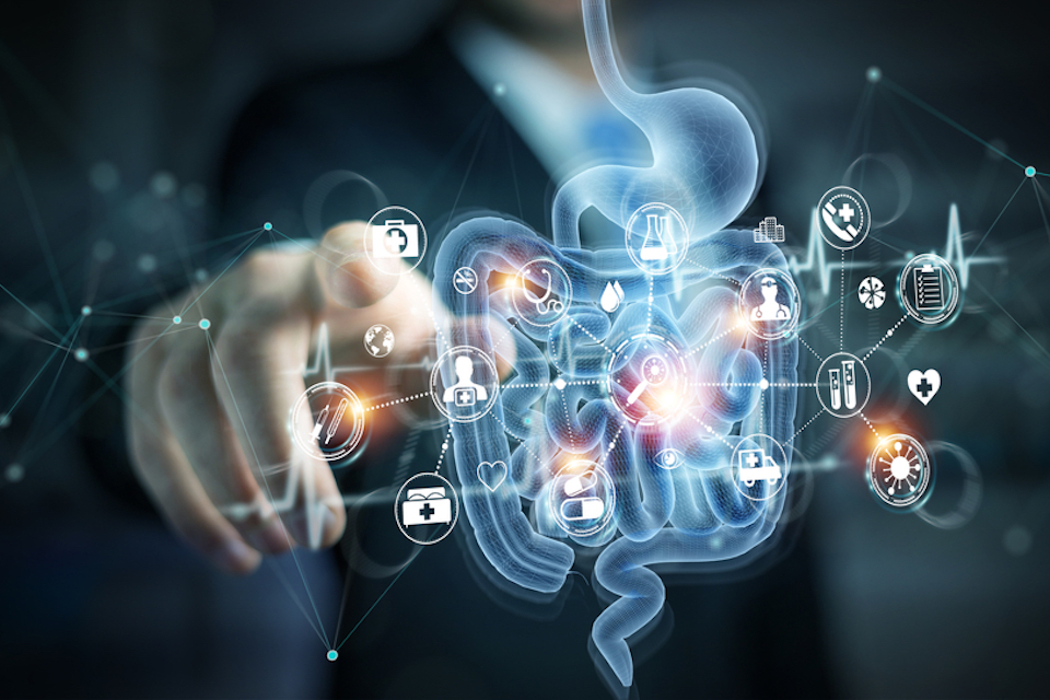 BiomeSense Closes Oversubscribed $3 Million Funding Round - Microbiome ...