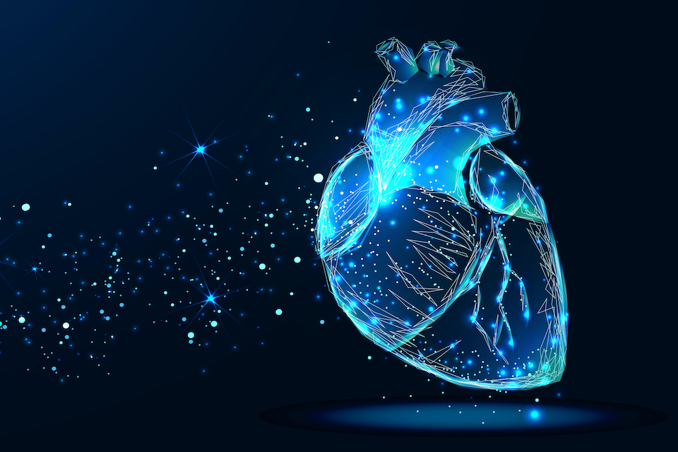 New “atlas” maps bacteria and metabolites associated with elevated risk ...