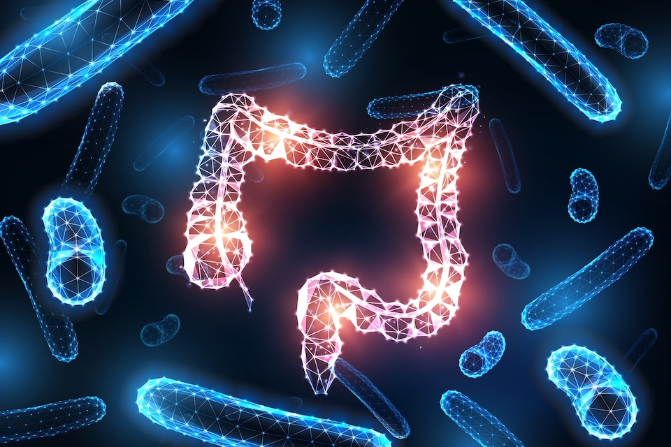 Scientists and clinicians use AI analysis of the gut microbiome to ...