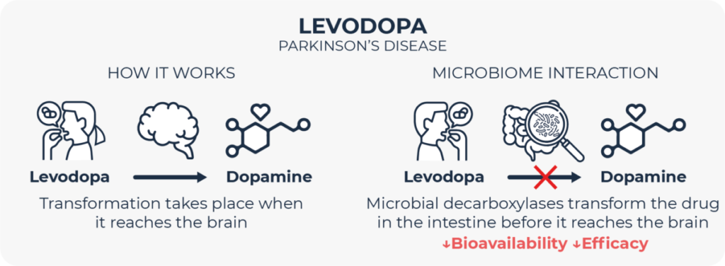 Pharmacomicrobiomics: The universe of microbiome-drug interactions ...
