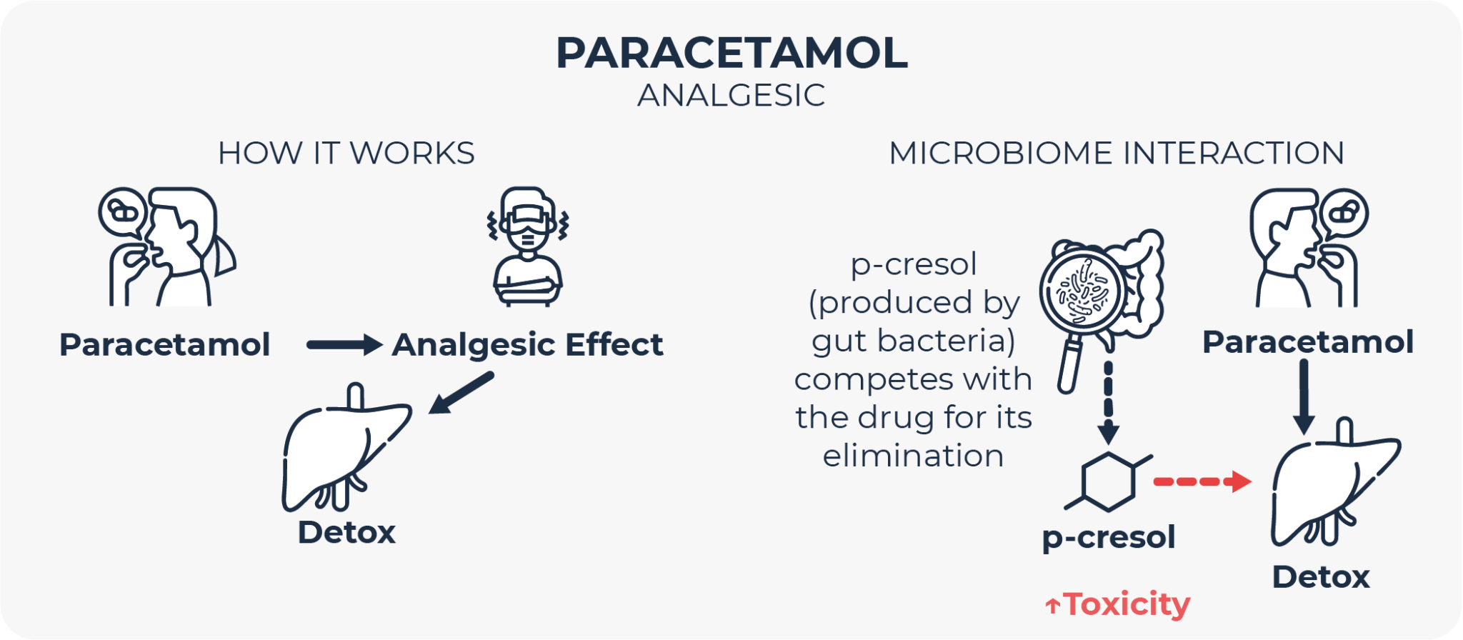 Pharmacomicrobiomics: The universe of microbiome-drug interactions ...