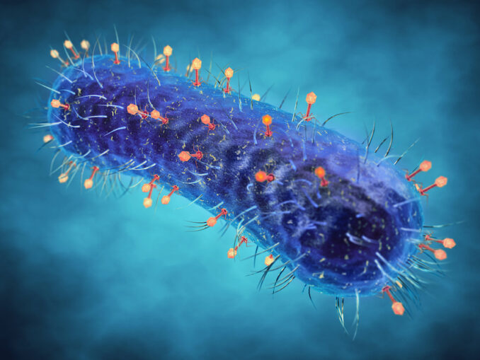 Home - Microbiome Times Magazine