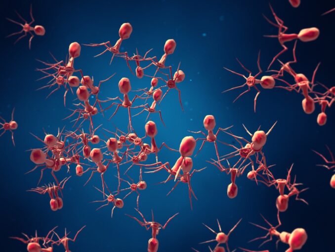 Home - Microbiome Times Magazine