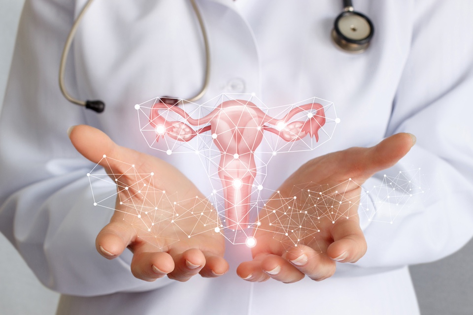Women’s Health: The Next Microbiome Frontier - Microbiome Times Magazine