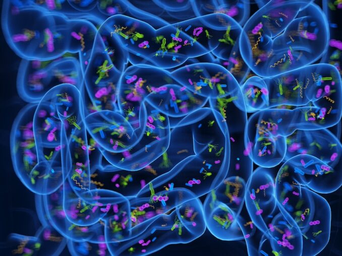 Home - Microbiome Times Magazine