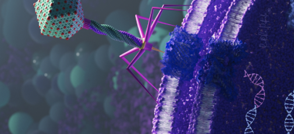 Home - Microbiome Times Magazine