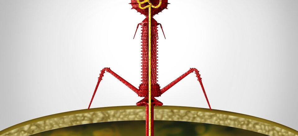 Home - Microbiome Times Magazine