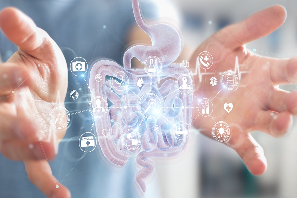 ProDigest Awarded FDA Contract to Provide a Preclinical ...