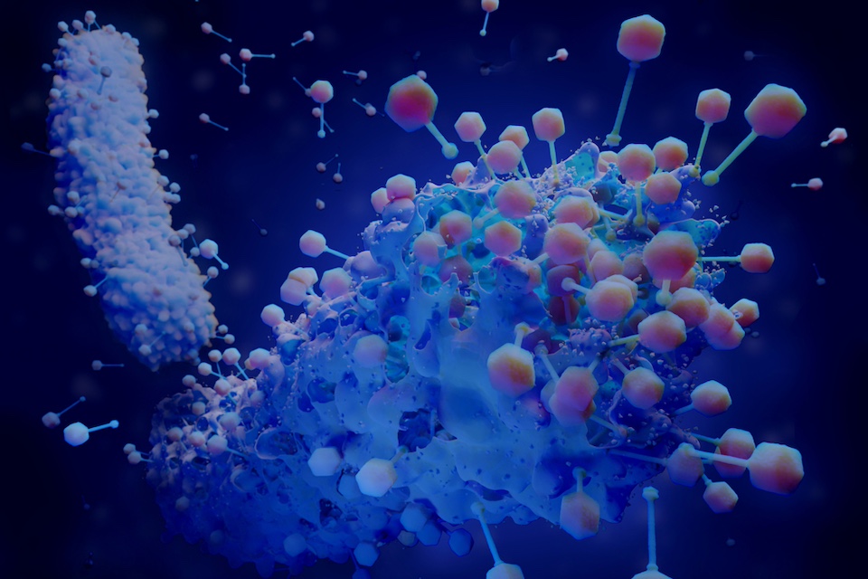 A new simple and effective tool that recommends the best possible phage ...