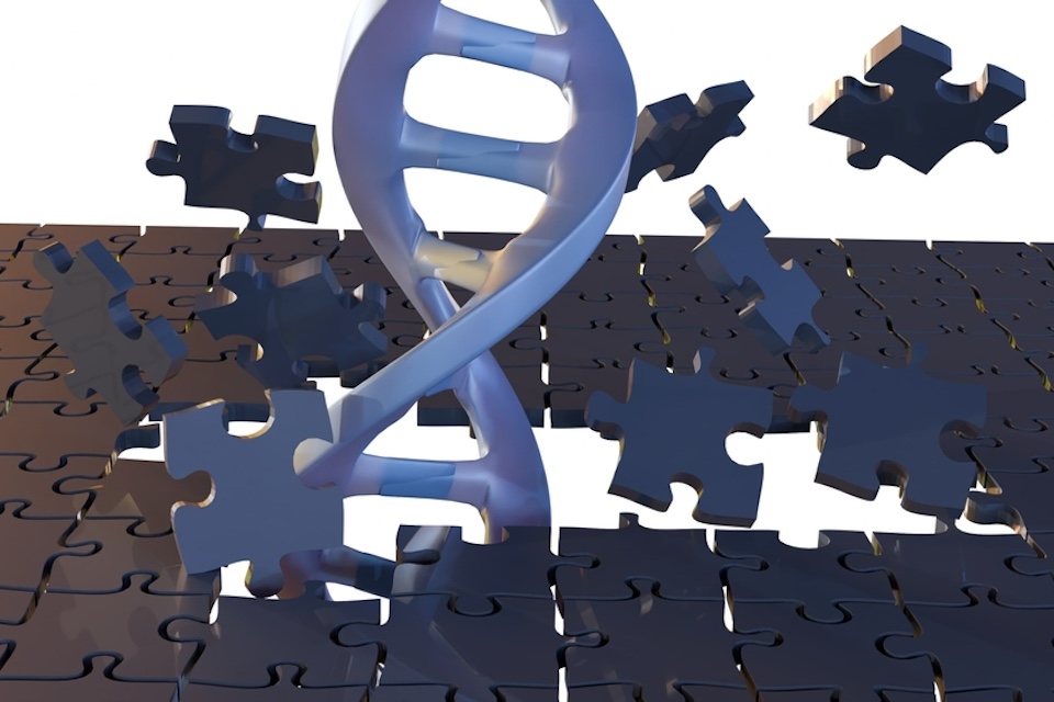 Cmbio: A New Brand Unifying Global Leaders in Microbiome and ...