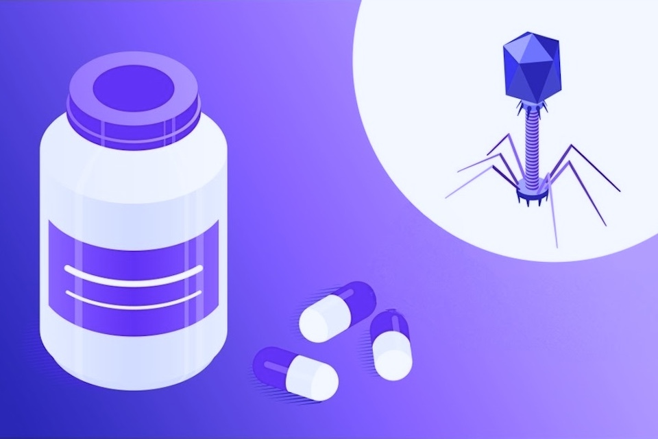 Researchers hope to develop novel drugs for gastrointestinal disorders ...