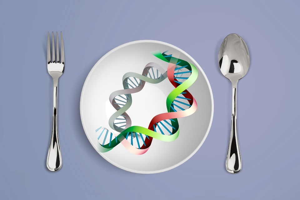 Scientists decode diet from stool DNA – no questions asked - Microbiome ...