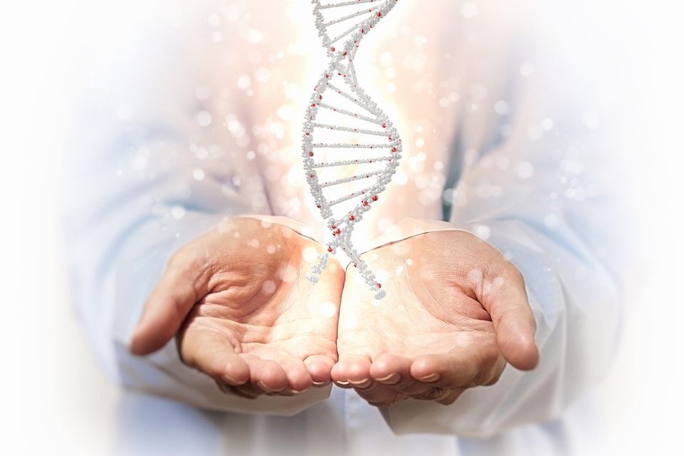 Dynamic Microbiome Abundance Profiling: A new tool to solve challenges ...