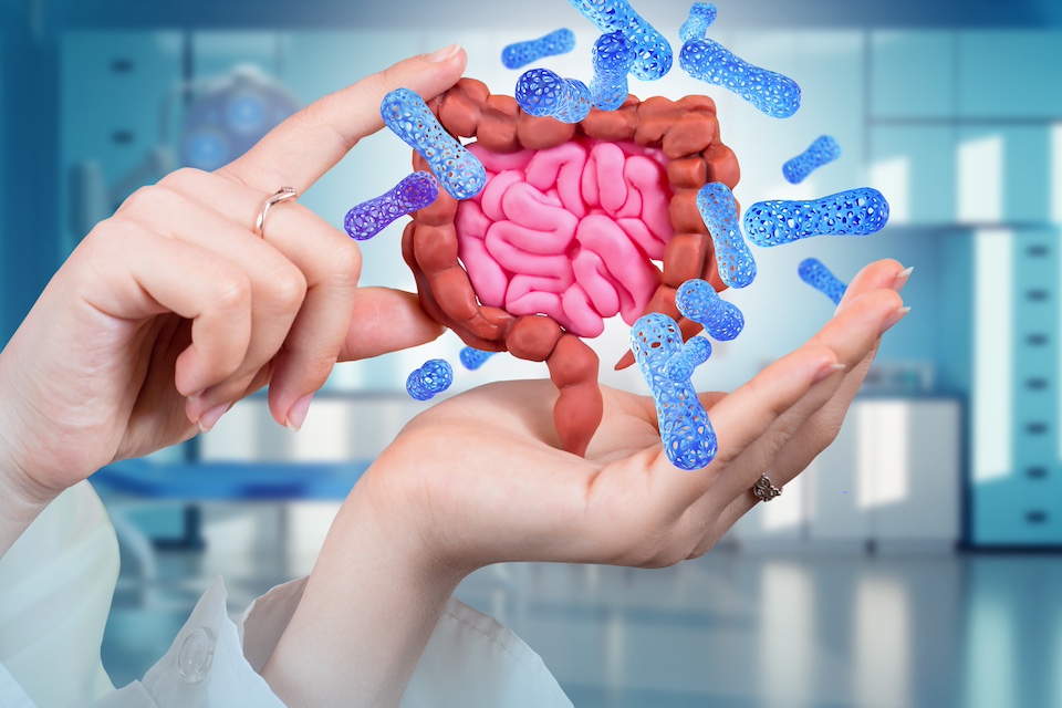 InnoGI Technologies Unveils its Advanced Gut Microbiome Model (TIM-2 ...