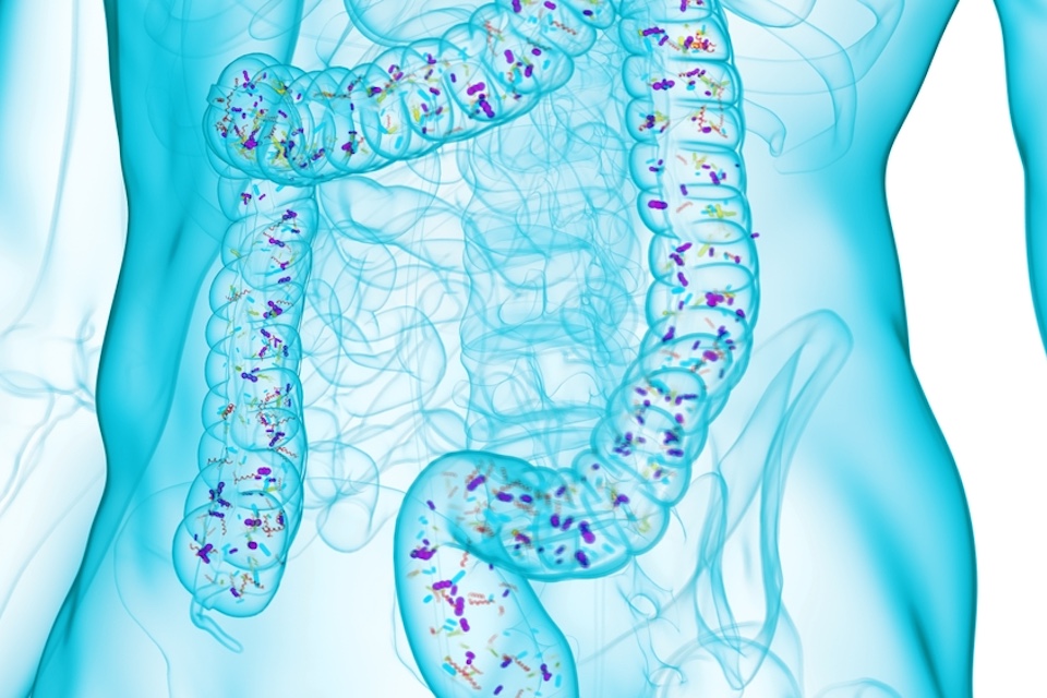 Novonesis and Novo Nordisk will explore new solutions to improve ...