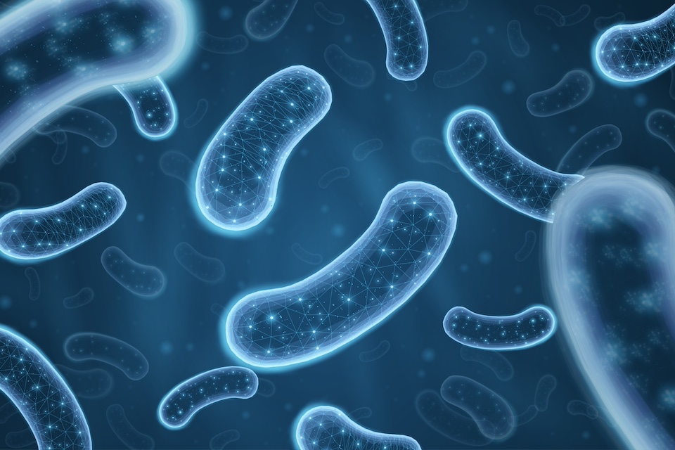 Engineered gut bacteria therapy emerges as scalable potential ...